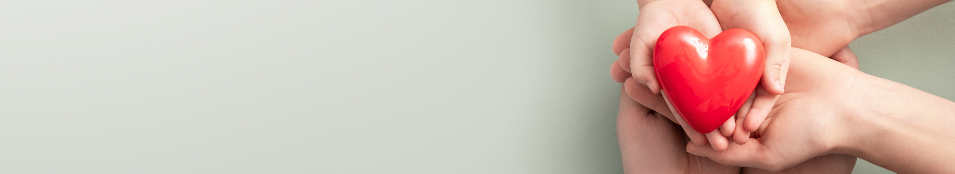 Check out our NEWS page on how to make a nomination for our Compassion ...